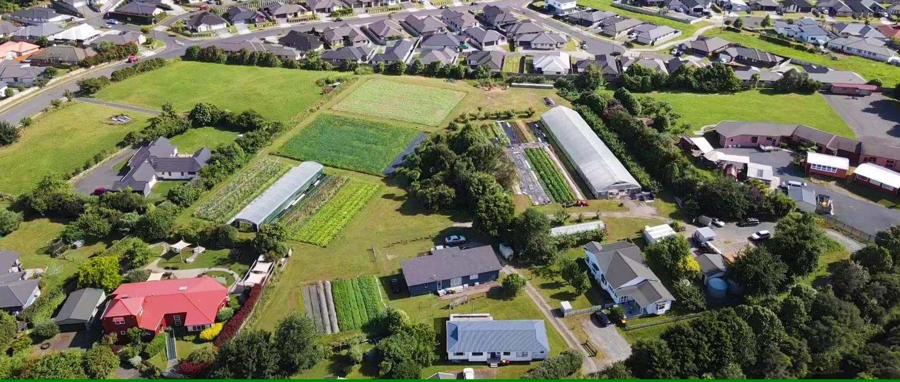 Earth Stewards Organic Farm – Earth Stewards - Certified Organic Urban Farm